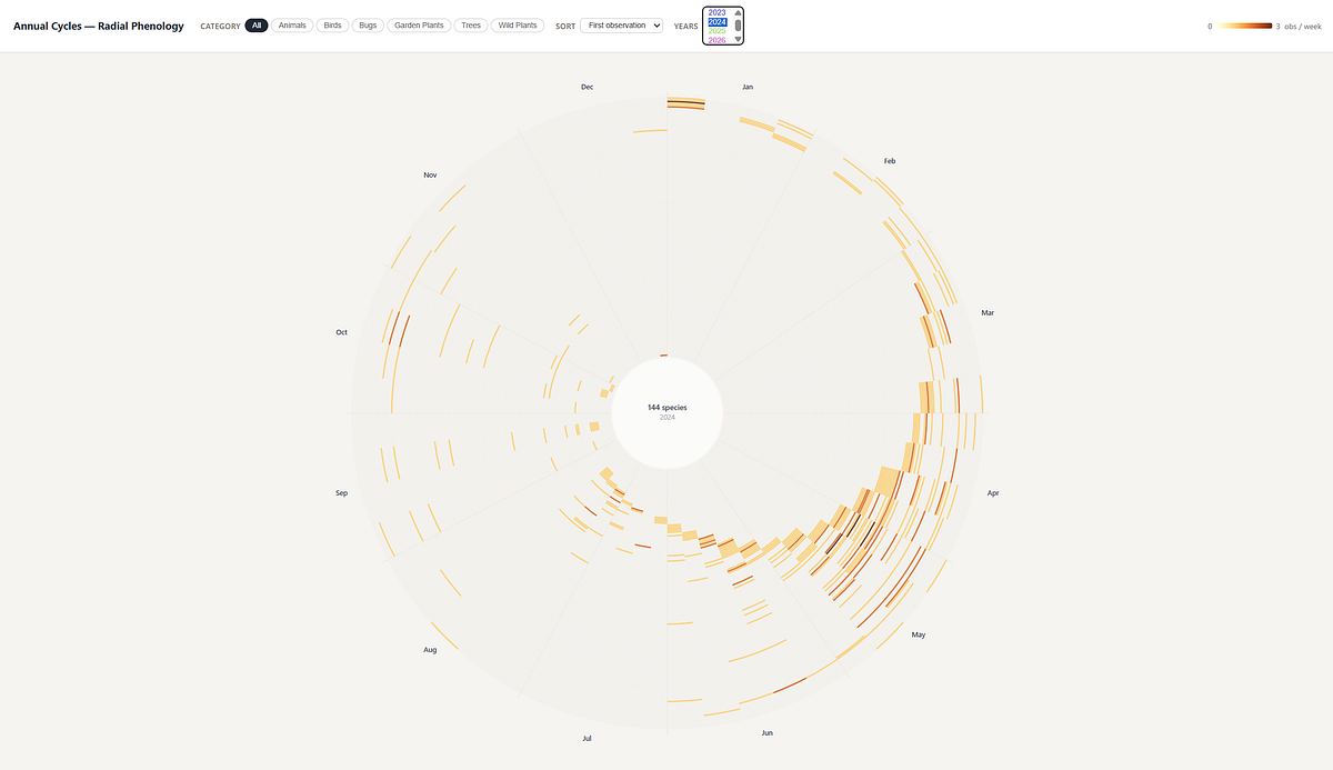 Annual Cycles project (Part 1). Using LLMs to code data vis | by Erica ...