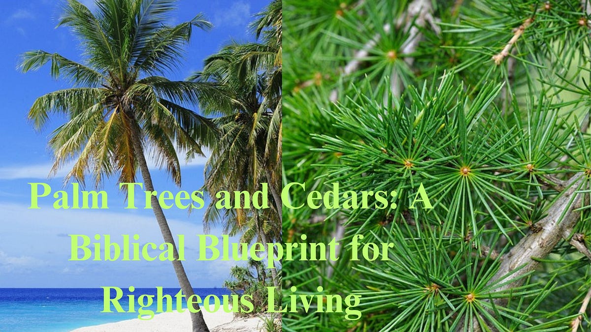 Palm Trees and Cedars: A Biblical Blueprint for Righteous Living | by ...