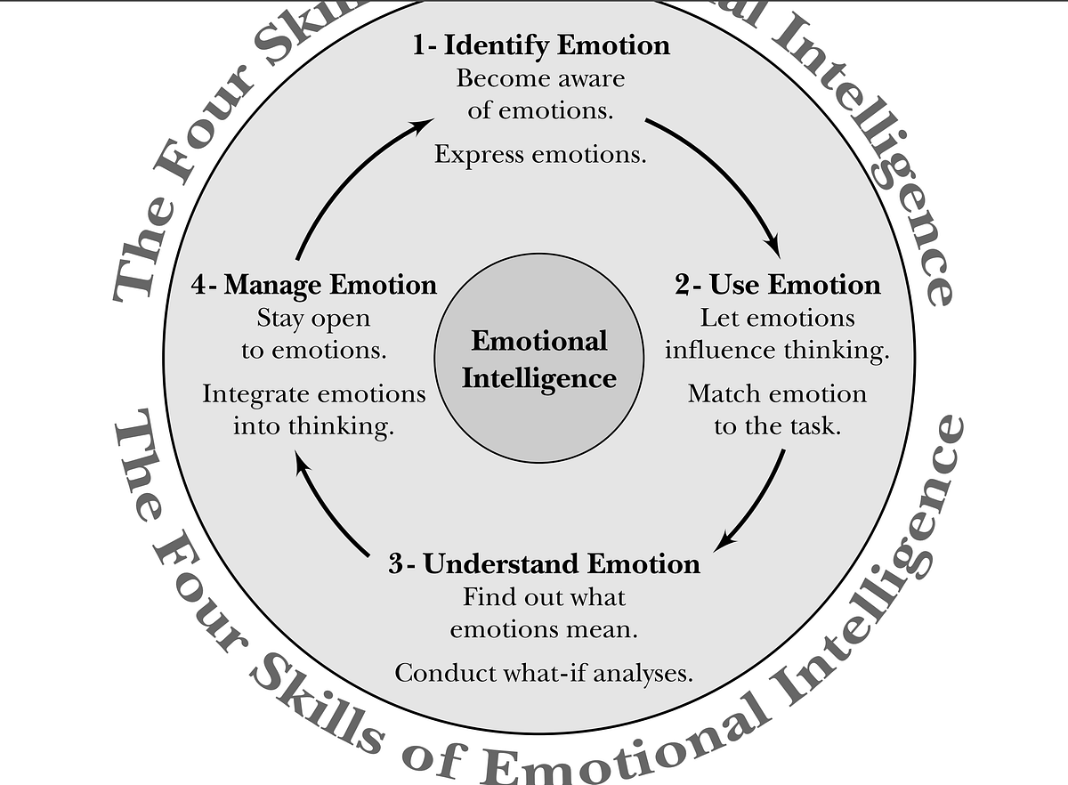 identity, use, understand and manage emotion overview I - Gee - Medium