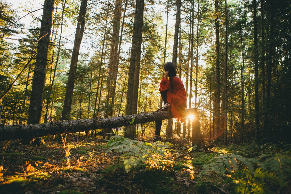 3 Keys to Survival. Do you have what it takes? | by Bushgirl | Medium