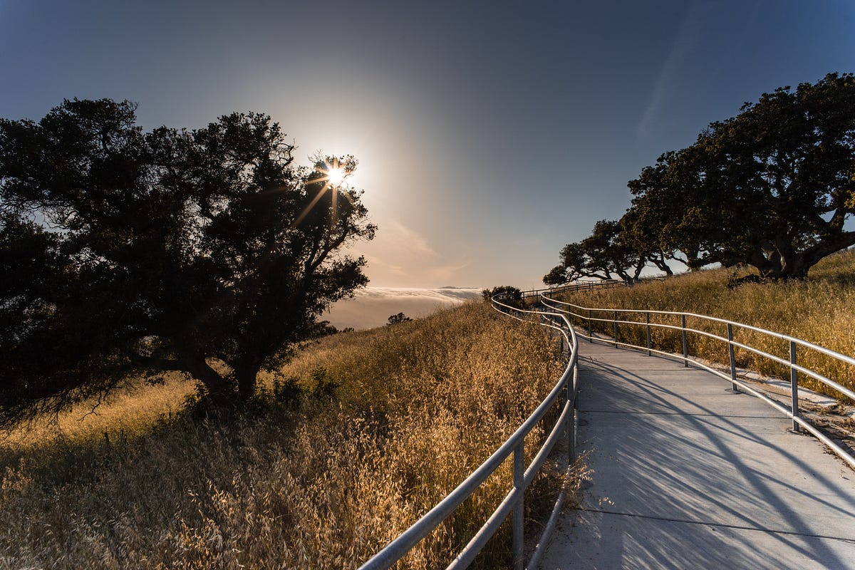 Introducing Foothill Ventures!. We have an exciting announcement… | by ...