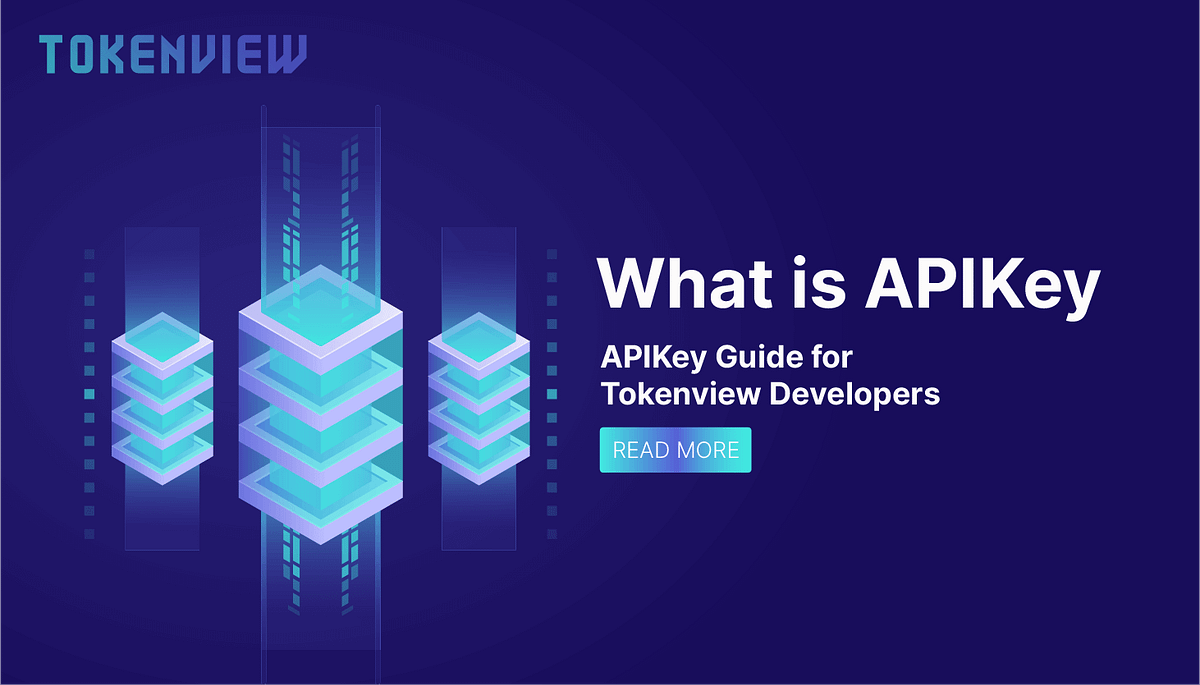 What is Tokenview APIKey?. Every day, billions of Tokenview calls… | by Tokenview.io | Medium