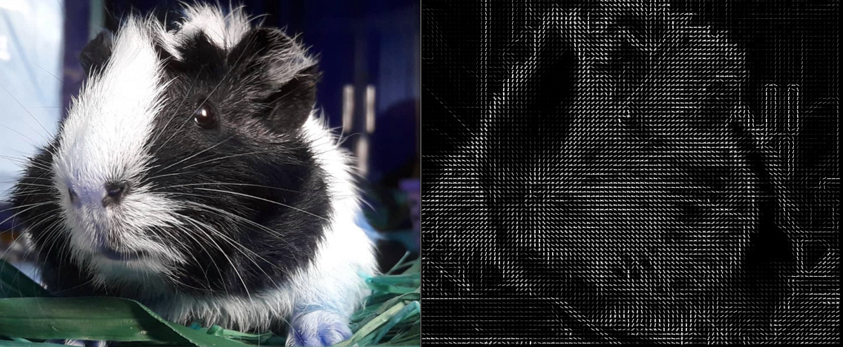 Histogram of Oriented Gradients. Histogram of Oriented Gradients(HOG ...