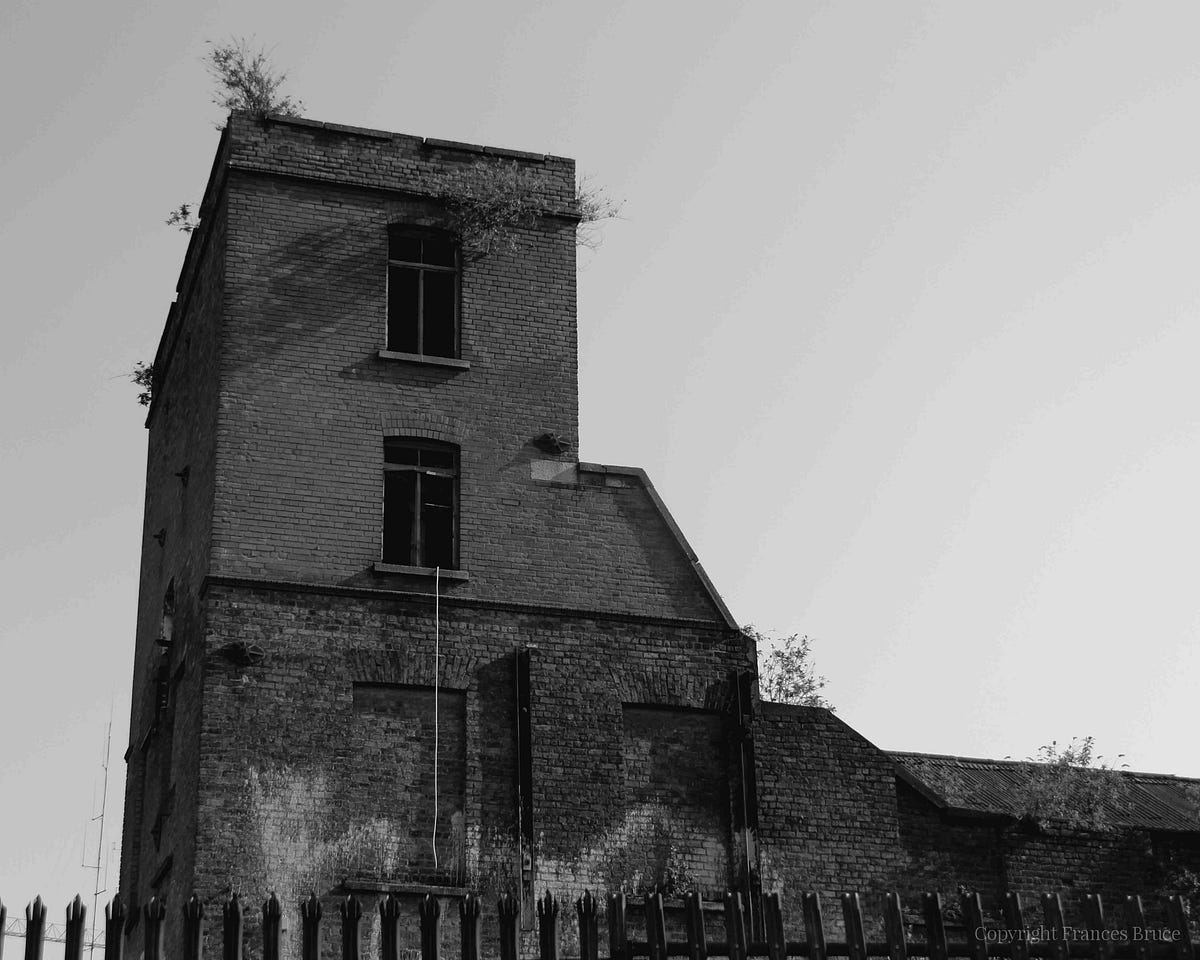 Outside this window #47. Outside this window lies an idea we… | by ...