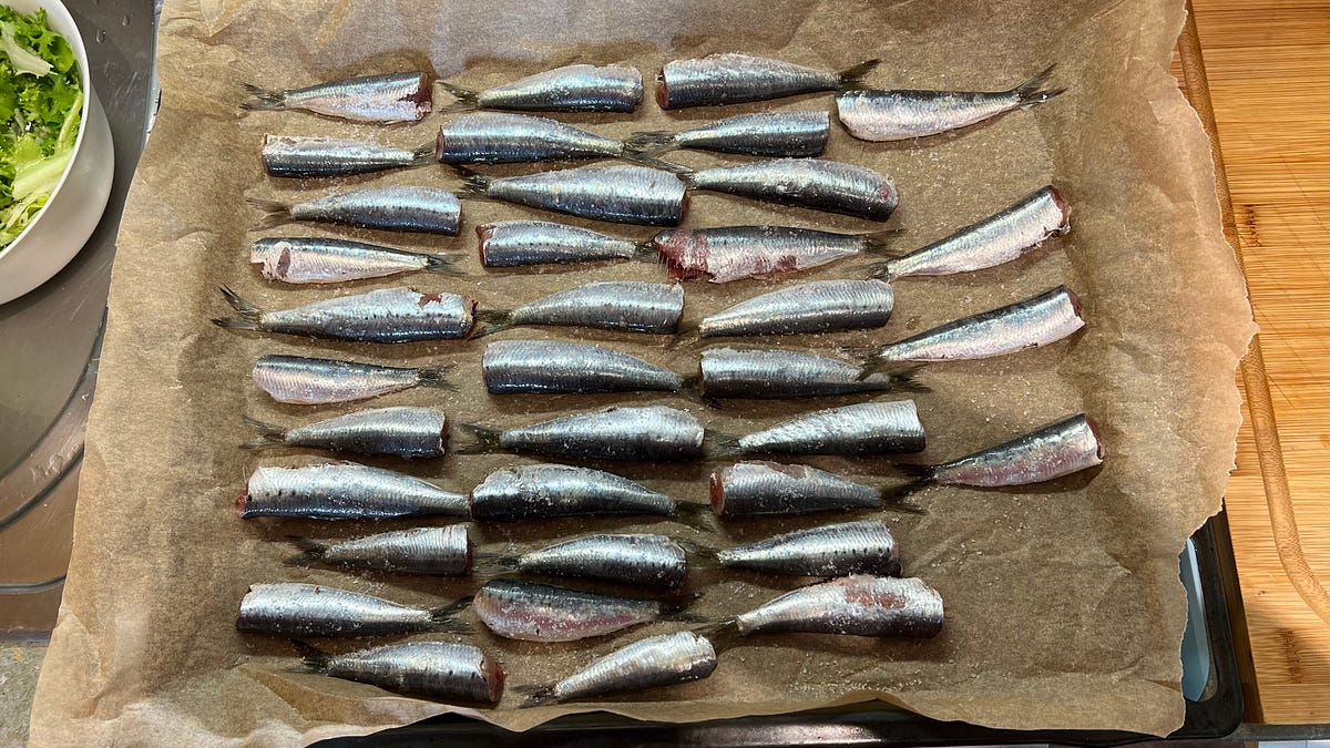 The Power of Sardines: A Nutrient -Rich Superfood | by Dax Gul | Nov, 2023 | Medium