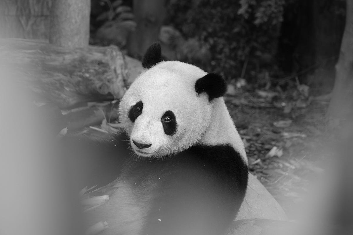 Introduction: A PRC Lawyer Writing on Cross-Border Practice | by Siying ...
