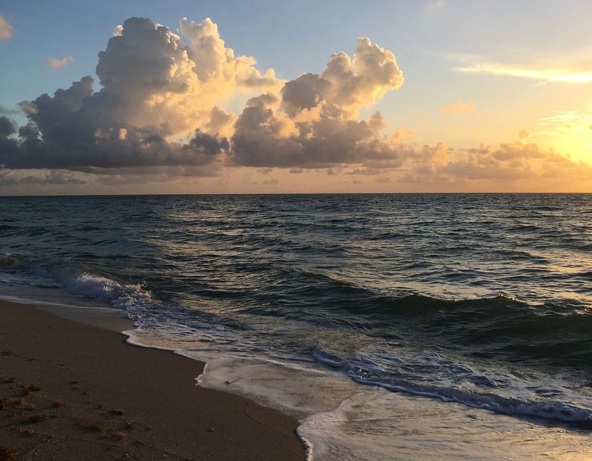 Fait avec Amour | by esa | Medium