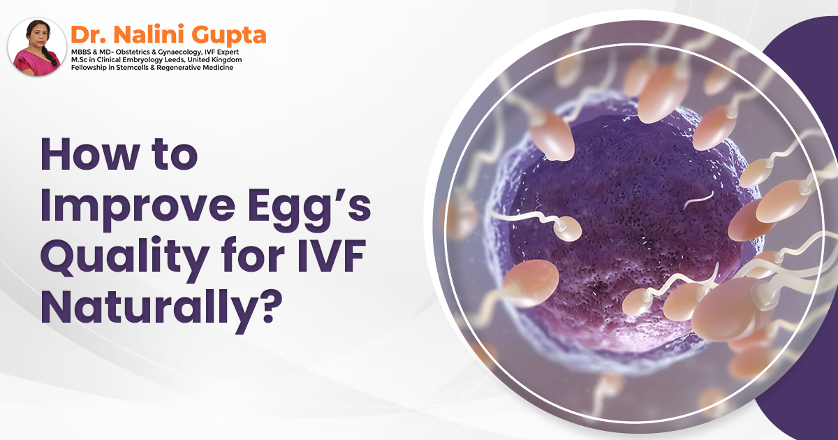 How to Improve Egg’s Quality for IVF Naturally? | by Delfinium | Dec ...