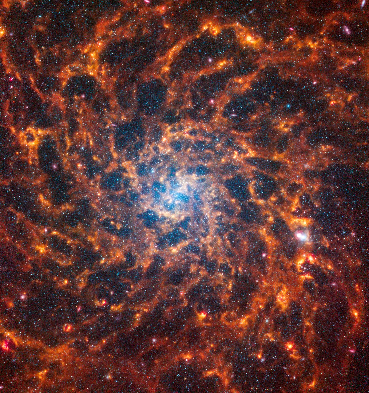 Our Birth in the Local Bubble. The latest Webb telescope images of 19 ...
