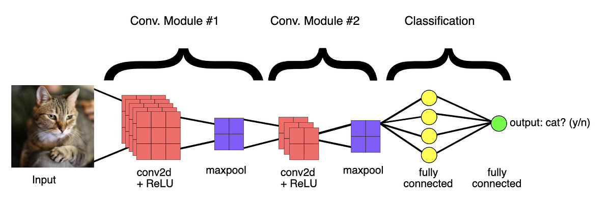 Convolutional Neural Networks (CNN): สร้าง Model เพื่อทำ Image Classification ด้วย TensorFlow ...