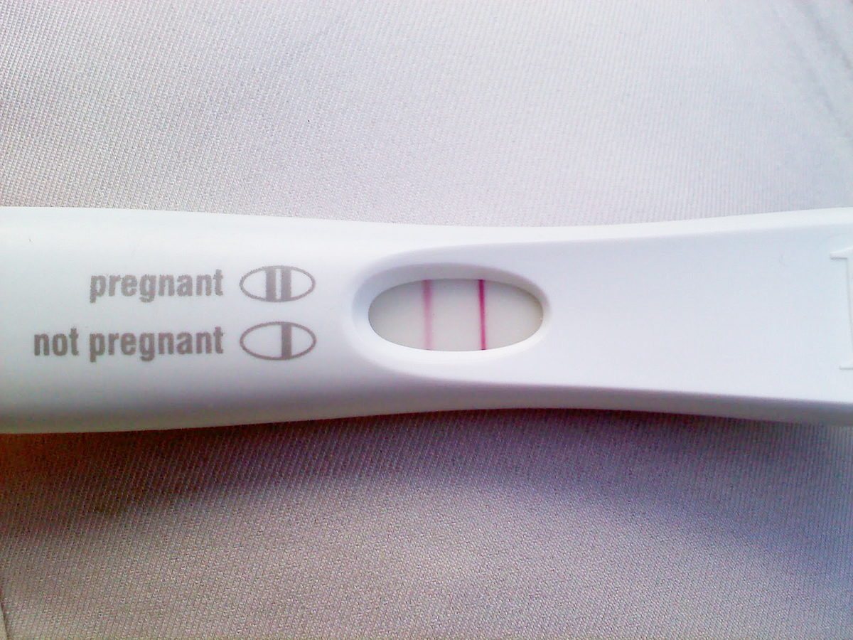 Faint Pink Line. pregnancy & loss | by R. | Medium