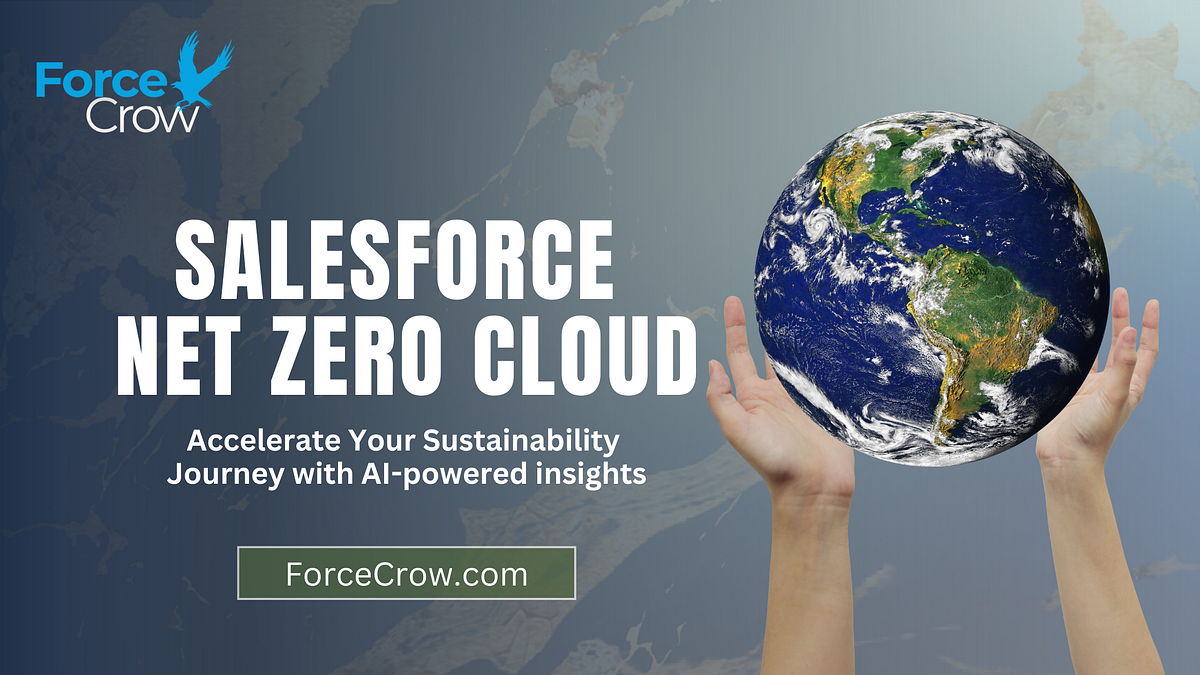 𝐒𝐚𝐥𝐞𝐬𝐟𝐨𝐫𝐜𝐞 𝐍𝐞𝐭 𝐙𝐞𝐫𝐨 𝐂𝐥𝐨𝐮𝐝! - ForceCrow - Medium