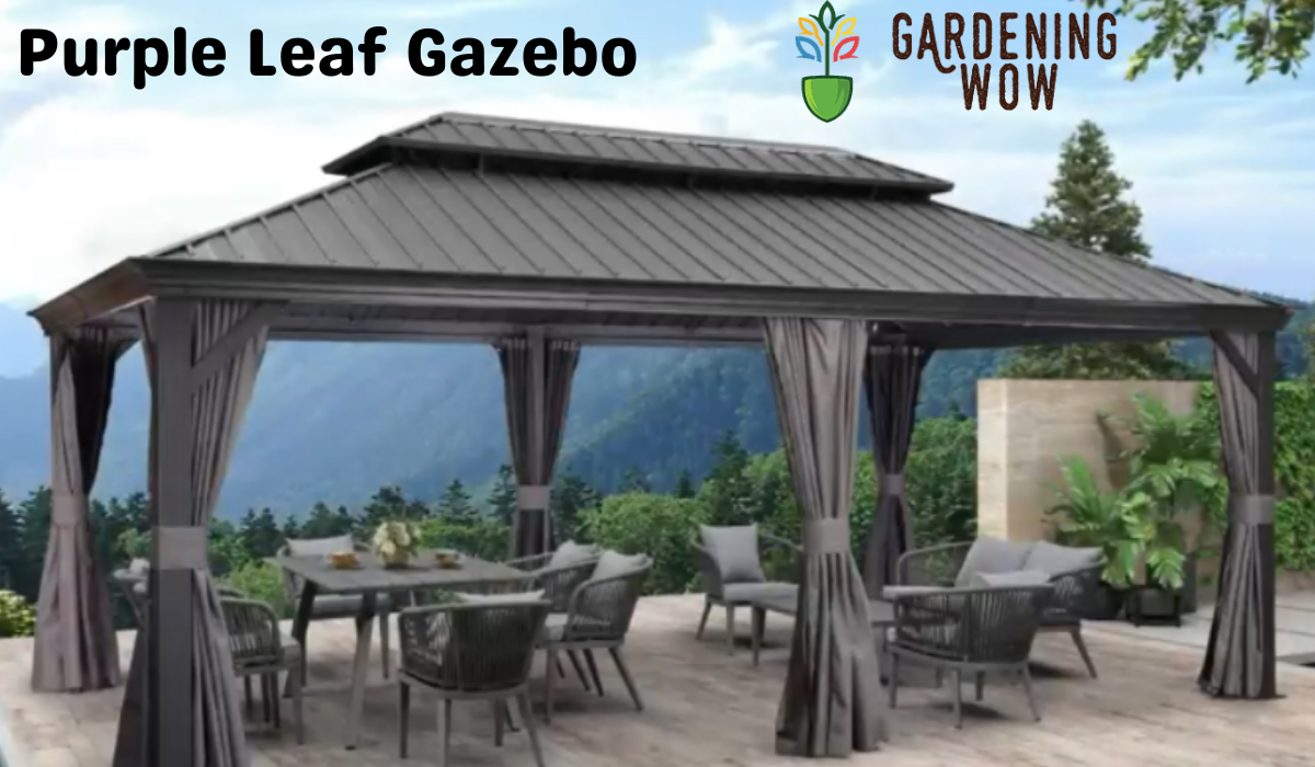 Royal Retreat: The Purple Leaf Gazebo | by Gardening Wow | Medium