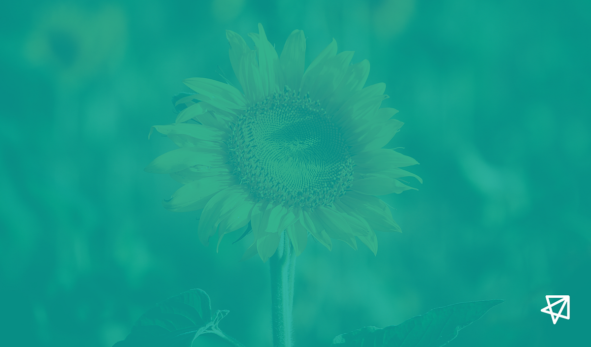 JDCC: What Makes Winning and Lasting Companies | by rob go | Better ...