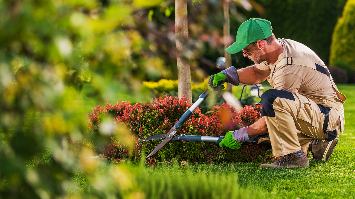 Boost Your Leads: How to Excel in Landscaping Services in Abu Dhabi ...