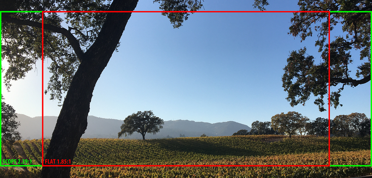 Things to Consider Before Making a DCP: Aspect Ratio & Frame Size | by ...