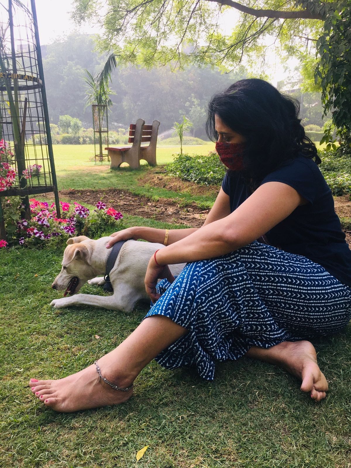 Exploring the Essence of Animal Healing | by Healing Miracles | Medium