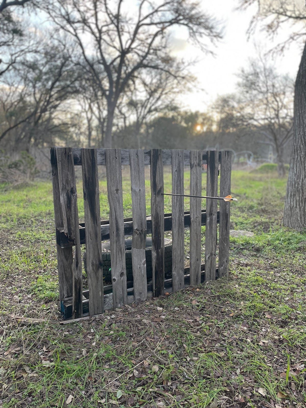 Target practice - Skye Howell (she/her) - Medium