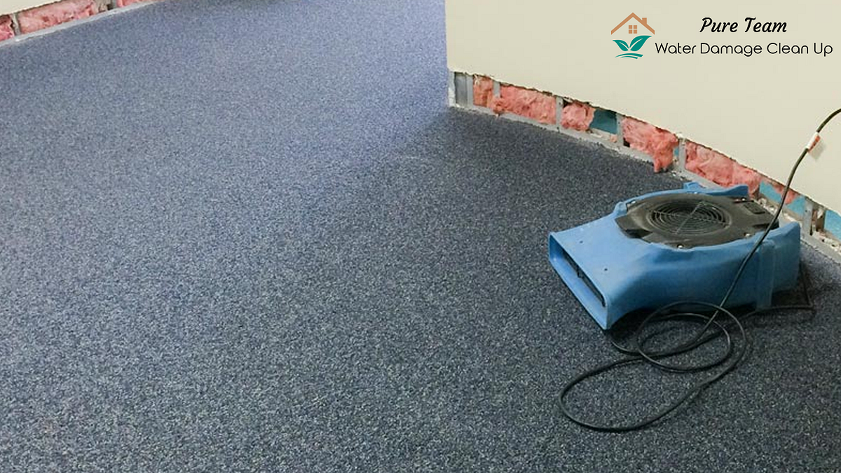 A Step-by-Step Guide to Flood Restoration Procedures | by Pure Team ...