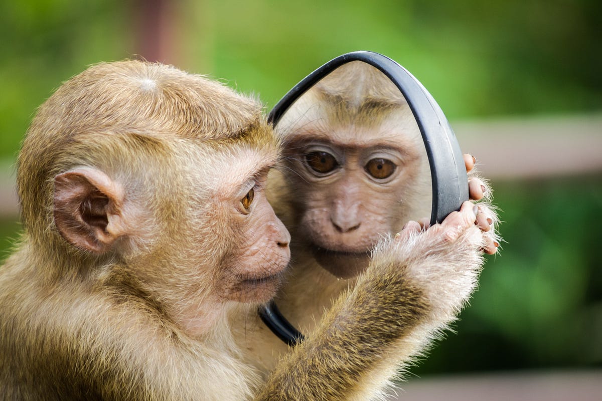 5 Qualities Of Highly Empathetic People | by apoorva | Age of Awareness ...