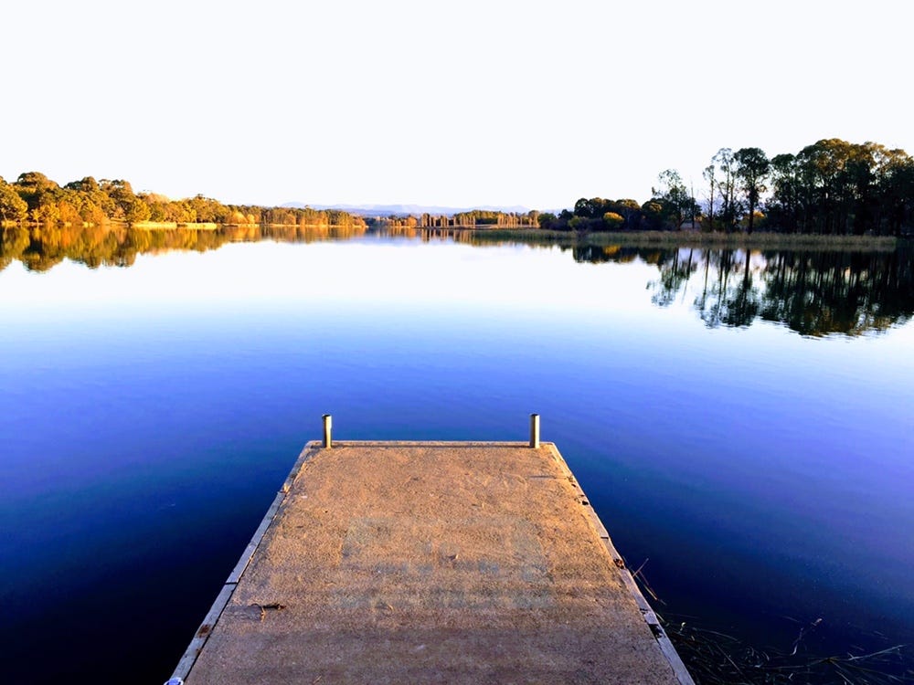 Learning how to see again. By examining the lens of perception | by ...