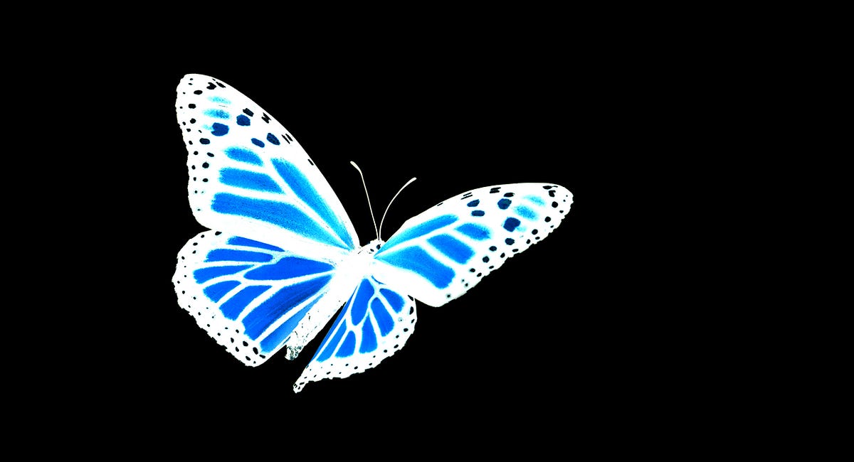 This costume designer built a prosthetic wing for her butterfly | by ...