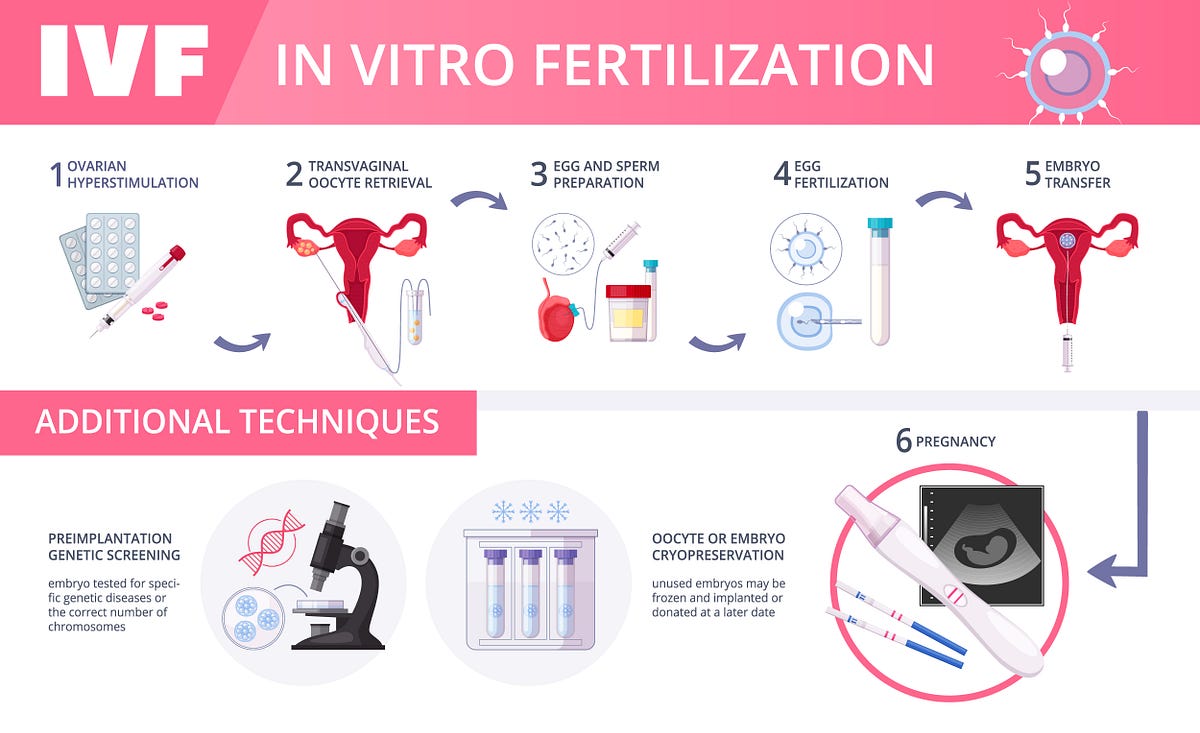 The 5 Stages of IVF: A Comprehensive Guide | by Manikesh Tripathi | Jul ...