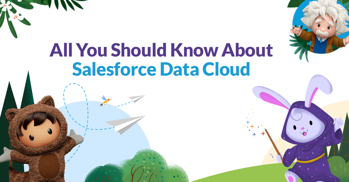 All You Should Know About Salesforce Data Cloud | by Valuehub IT | Medium