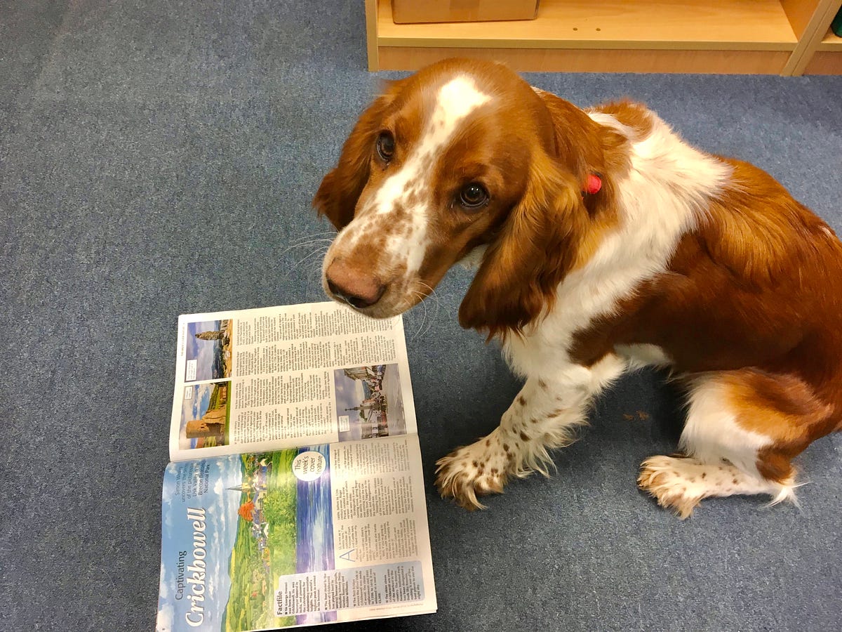 Read All About It!. Dog reads magazine article. (Possibly.) | by Simon ...