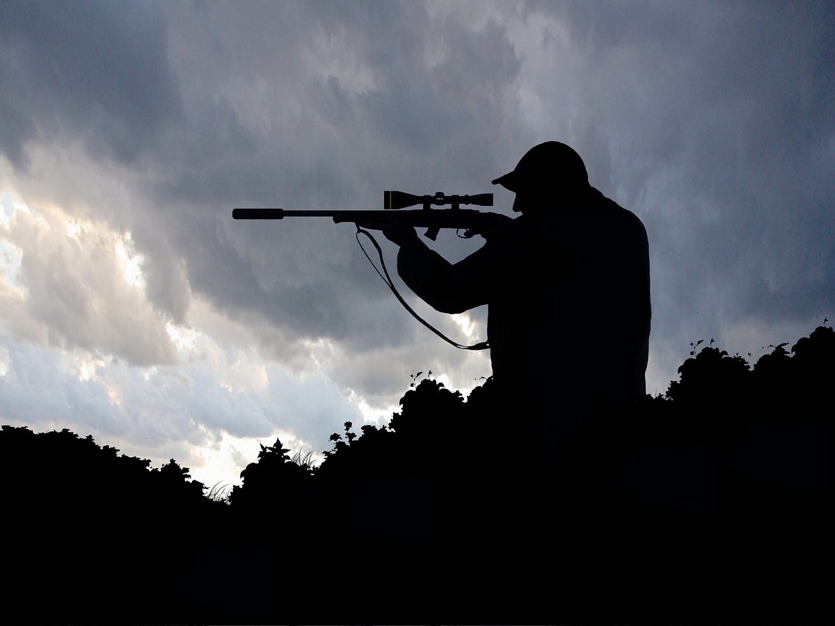 Night Hunting Tips. Before you start night hunting, there… | by Joseph ...