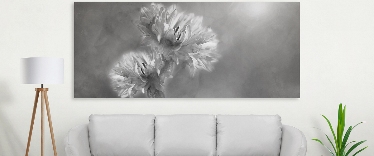 Transform Your Walls with Custom Canvas Prints: A Step-by-Step Guide ...