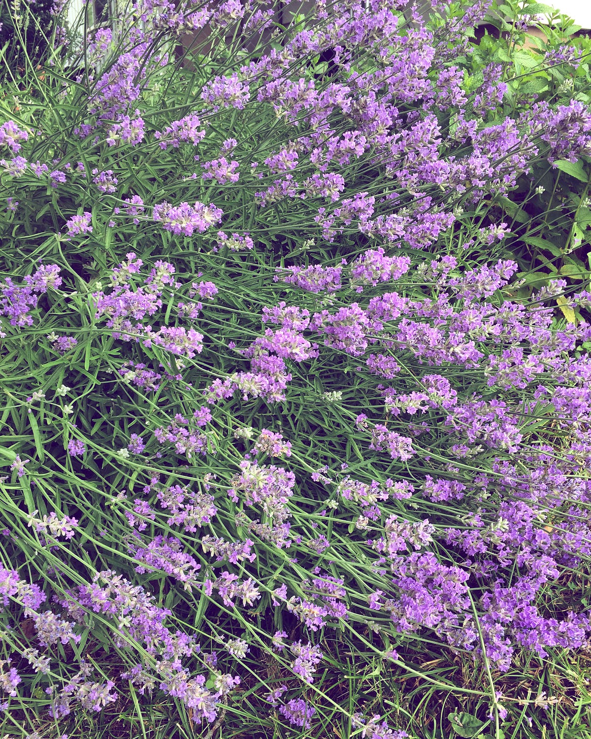 3 Writing Fears + How You Might Conquer Them | by Angelyn Dodson | Medium