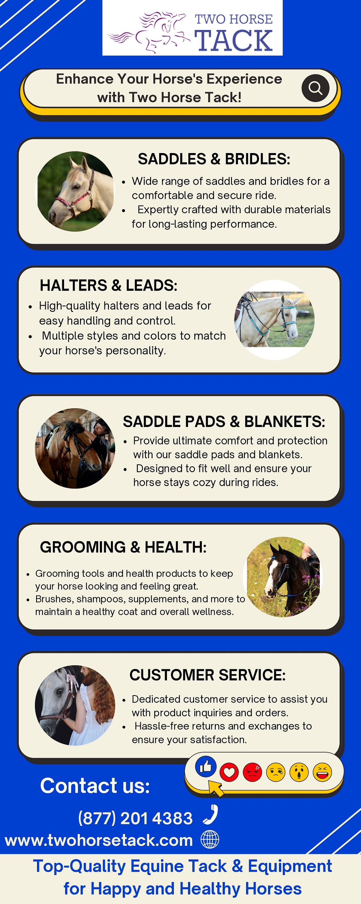 Elevate Your Horse’s Journey: Enhance the Experience with Premium Horse ...