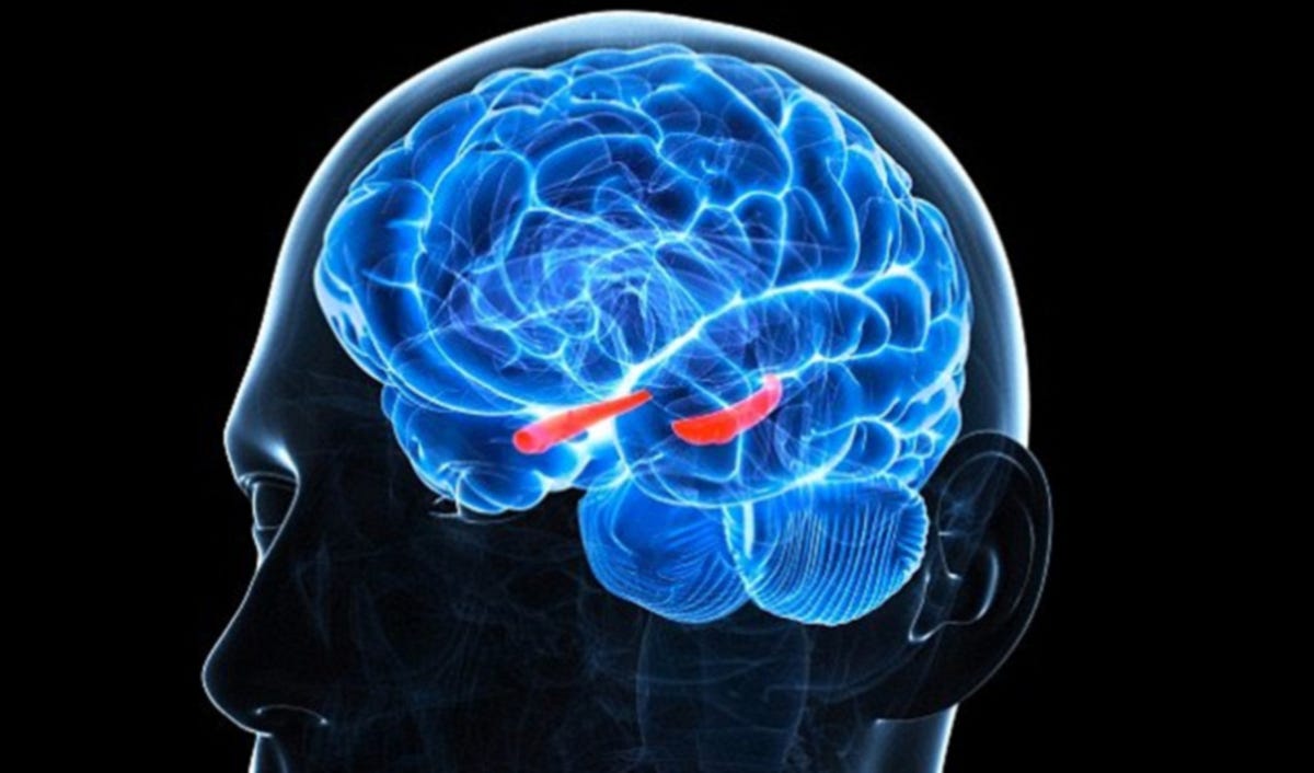 Self Evidence. I knew the minute it lit it up, that I… | by Nathan ...