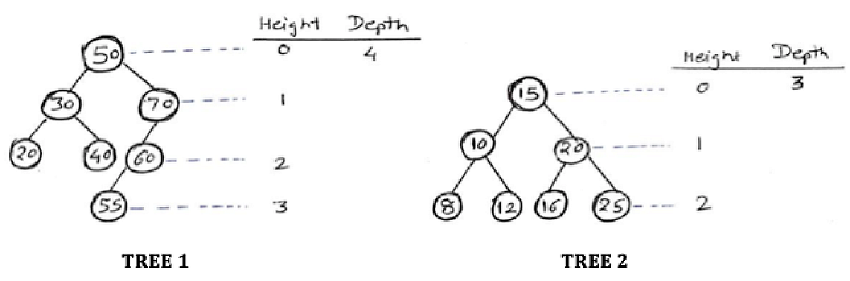 Height and Depth of a Binary Tree | by Milind Kulkarni | Medium