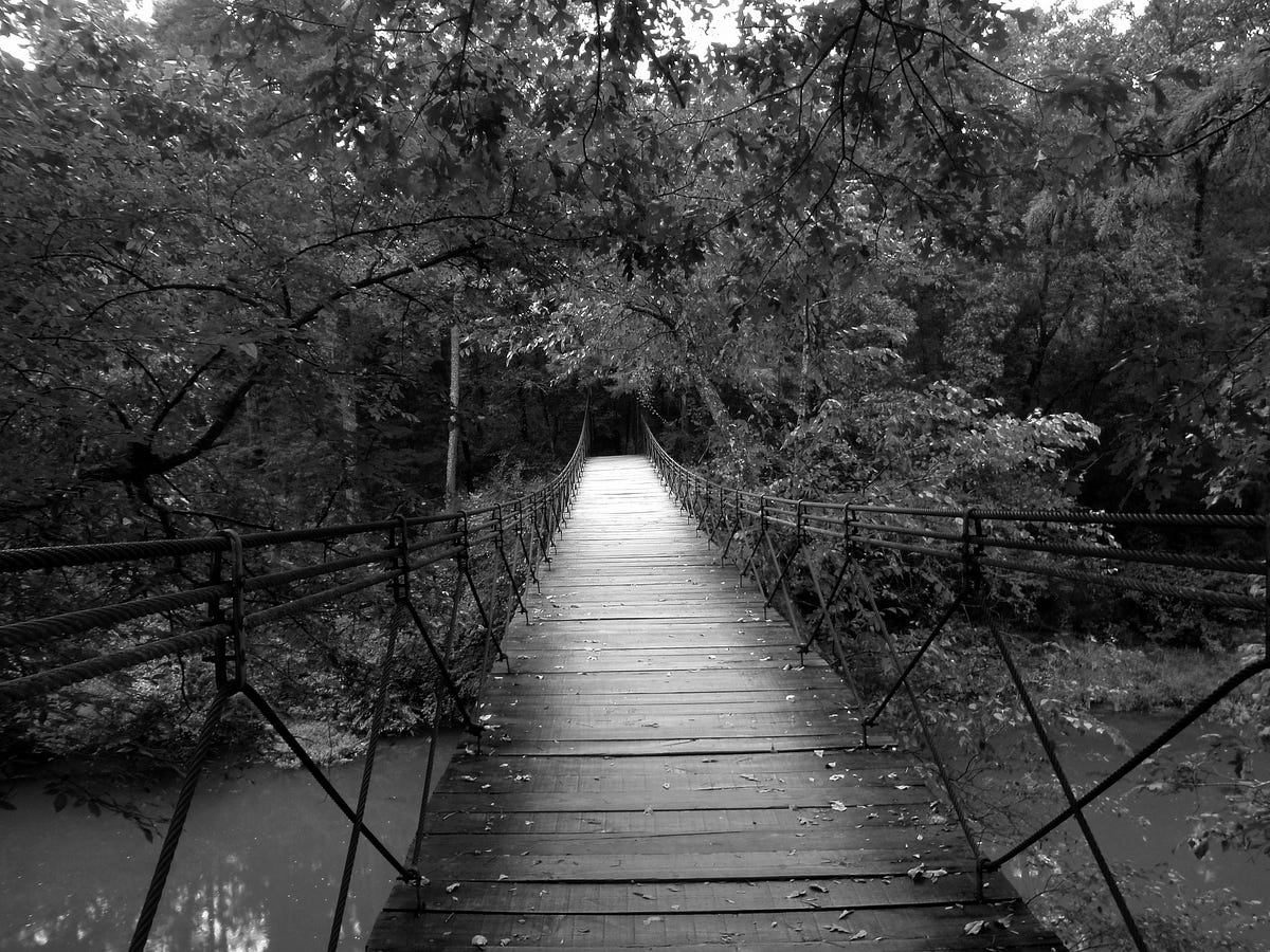 What Fear Has Cost Me. And how I’m dealing with it | by Frances Brown ...