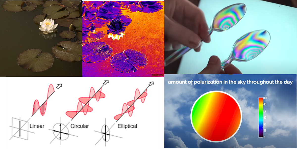False Colour Composites: Unveiling Nature’s Spectrum - from a ...