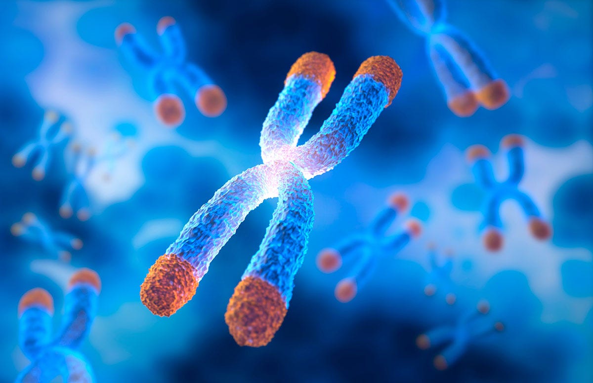Unlocking the Secrets of Longevity: Genetics, Telomeres, and the Path ...