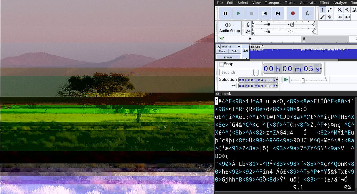 Creating Glitch Art With Text and Hex Editors | by Quinn Maclay ...