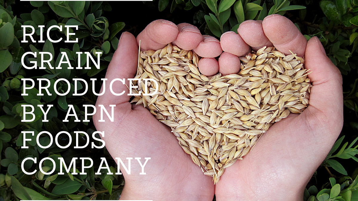 RICE GRAIN PRODUCED BY APN FOODS COMPANY - AFAMUEFUNAPOWER NIG LTD - Medium