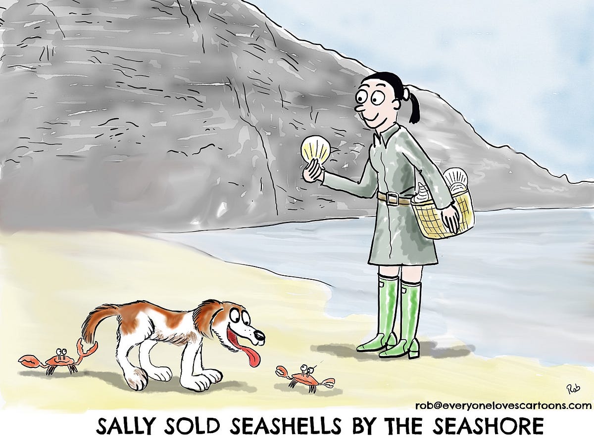 Sally Sold Seashells On The Seashore | by Rob Middleton | Medium