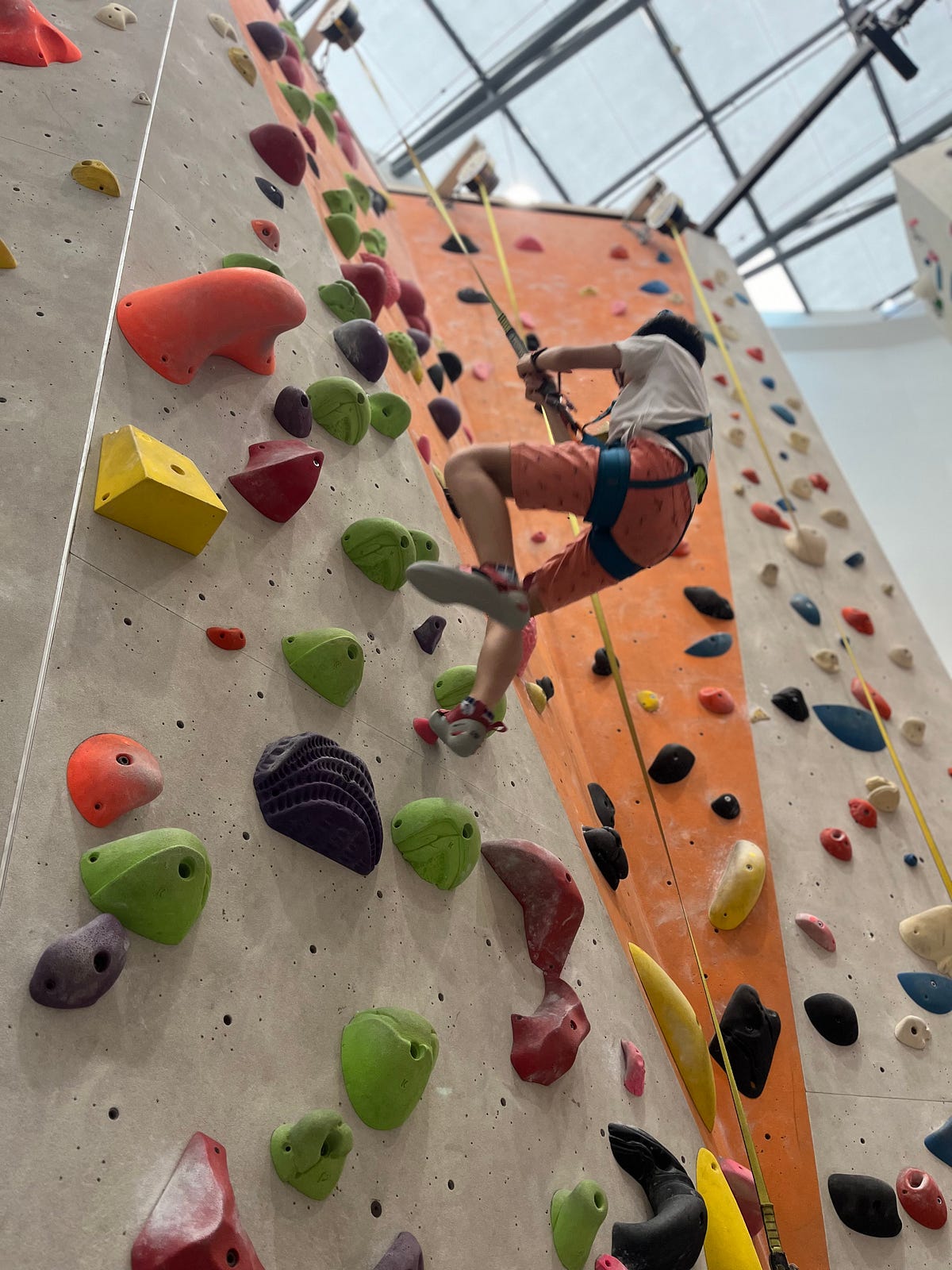 Desperate Times. Hanging on tight on rock-climbing wall… | by Janice ...