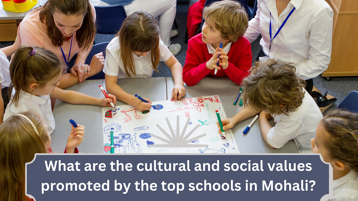 What are the cultural and social values promoted by the top schools in ...