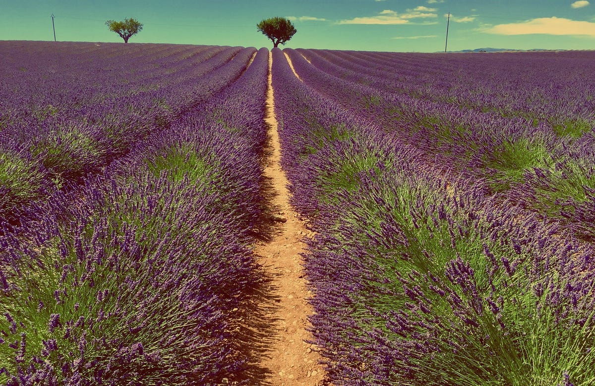 Weekly Selection Functional Programming For Deep By Tds Editors Towards Data Science