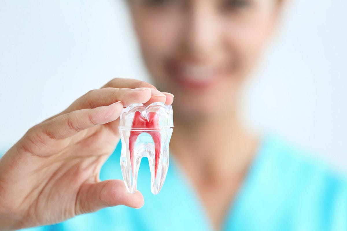 Causes and Symptoms of Root Canals | by Waylon Whiteside | Medium