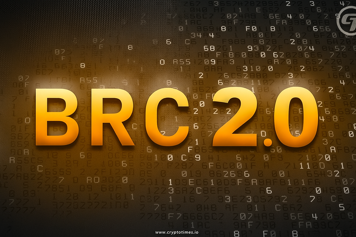 Brc2.0(Brc20-Programmable-Module) Demo - Michal Stefanow - Medium