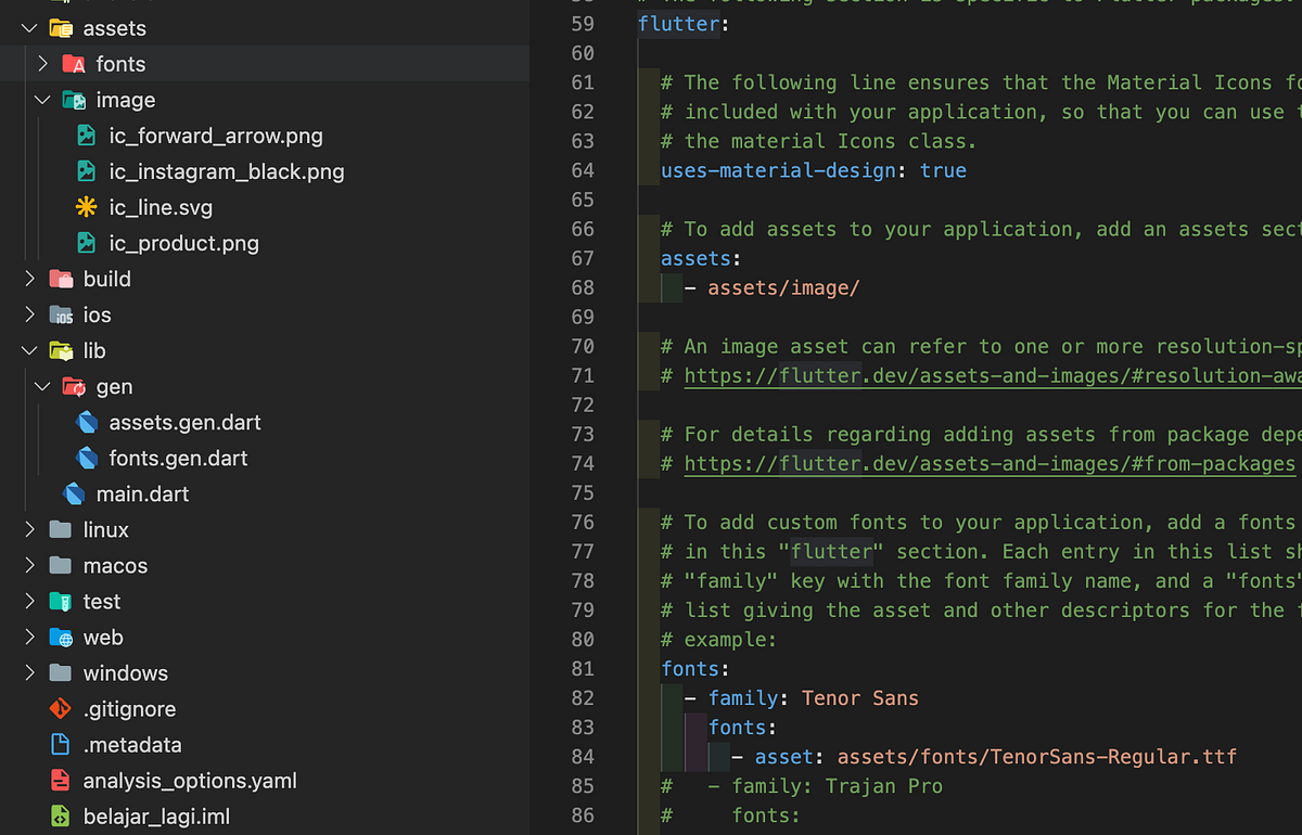 Cara Menggunakan Flutter Gen. Flutter Gen digunakan untuk mengenerate… | by Raka Fajar Salinggih ...