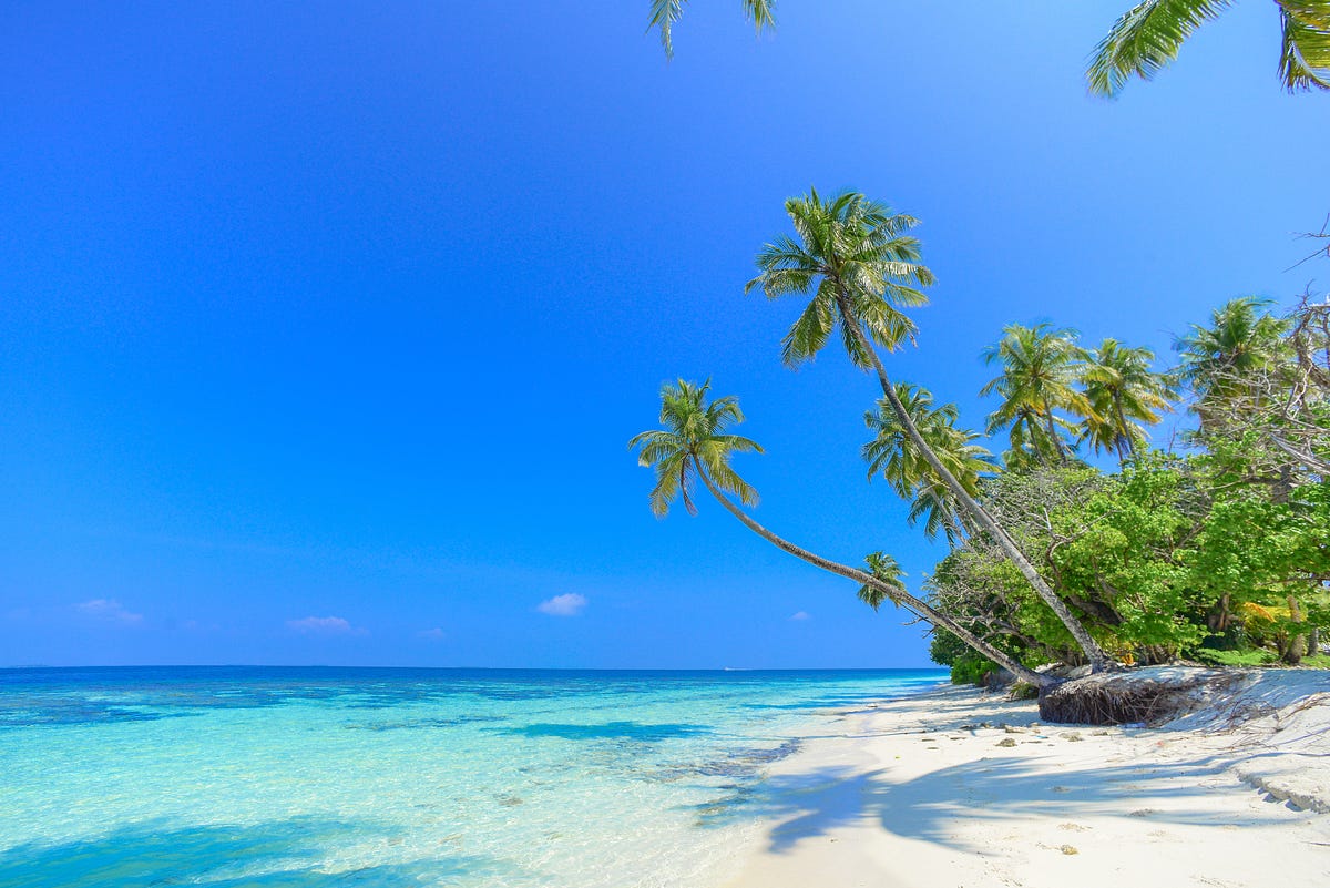 Marooned. “For Real” | by Kimmy Foulds | Medium