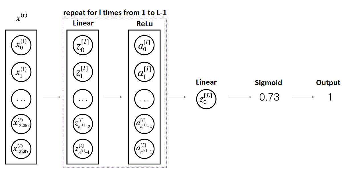 Deep Neural Networks Forward Propagation | by Rokas Liuberskis | Python ...