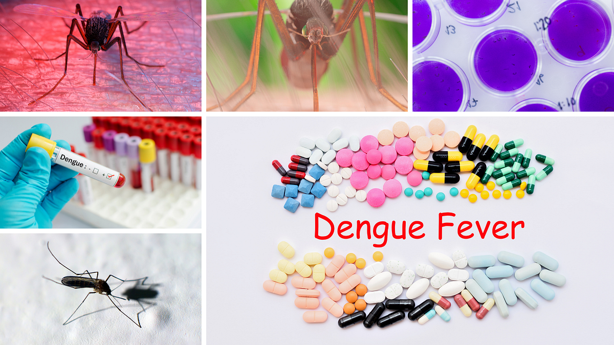 dengueWhat are the Symptoms, causes & treatment of Dengue fever? | by ...